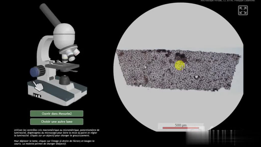 Tutoriel vidéo pour le microscope virtuel de mesurim2 - Sciences & Technologies