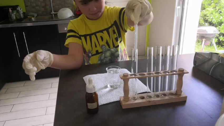 Les tests d'identification des ions - Sciences & Technologies